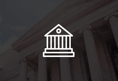 Government Website Development - Home